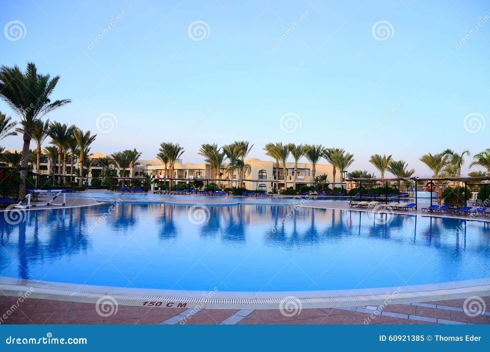 Nice Larger Pool with Palms in Egypt Stock Image - Image of desert ...