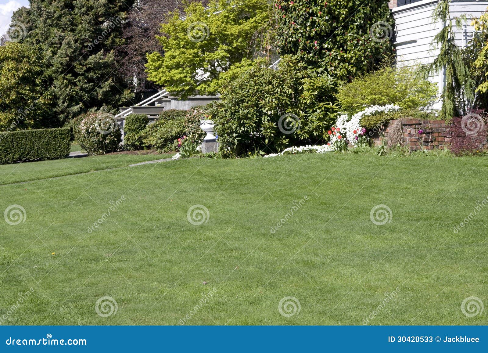 Nice lawn in front yard stock image. Image of green, clean - 30420533
