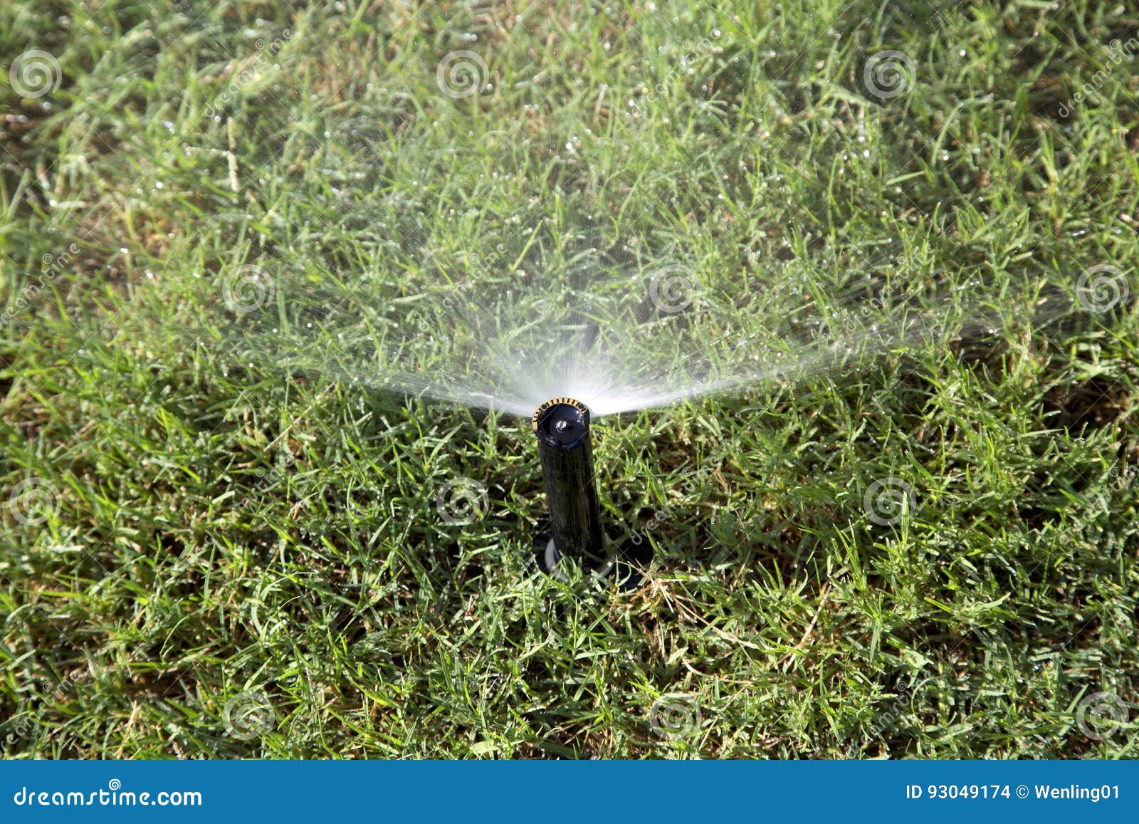 Nice Lawn Sprinkler Background Stock Photo - Image of field, pumping ...