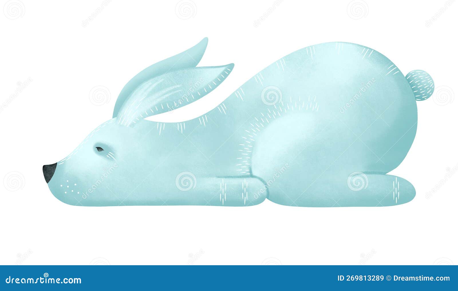 Nice Lazy Bunny. Rabbit Isolated on a White Background Stock ...