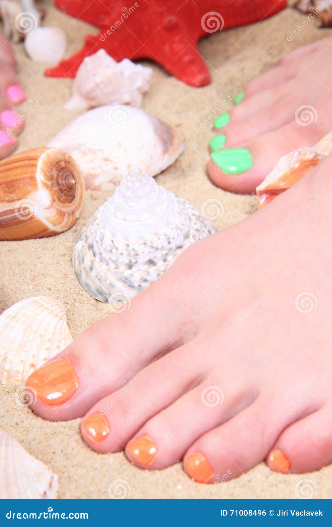 Nice legs with pedicure stock photo. Image of toes, care - 71008496