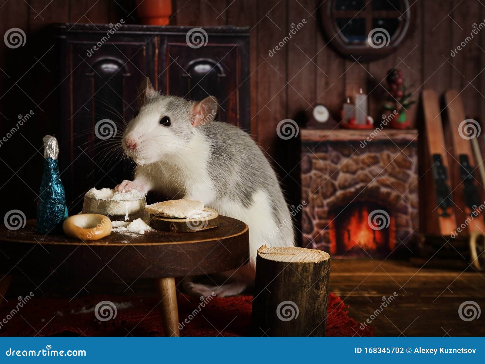 Nice Little Rat is Having Dinner at the Table Stock Photo - Image of ...