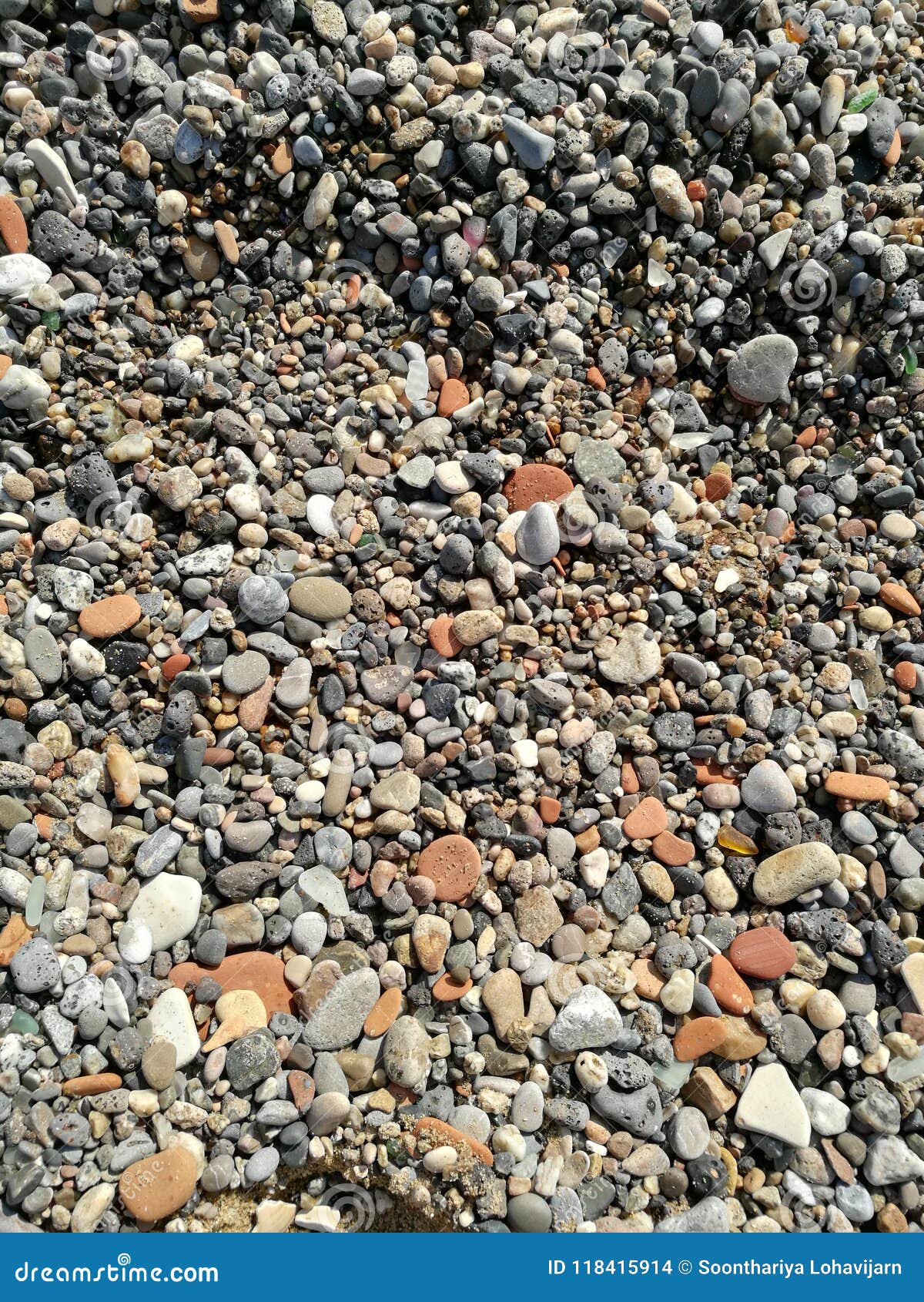 Color stone on beach stock photo. Image of color, little - 118415914