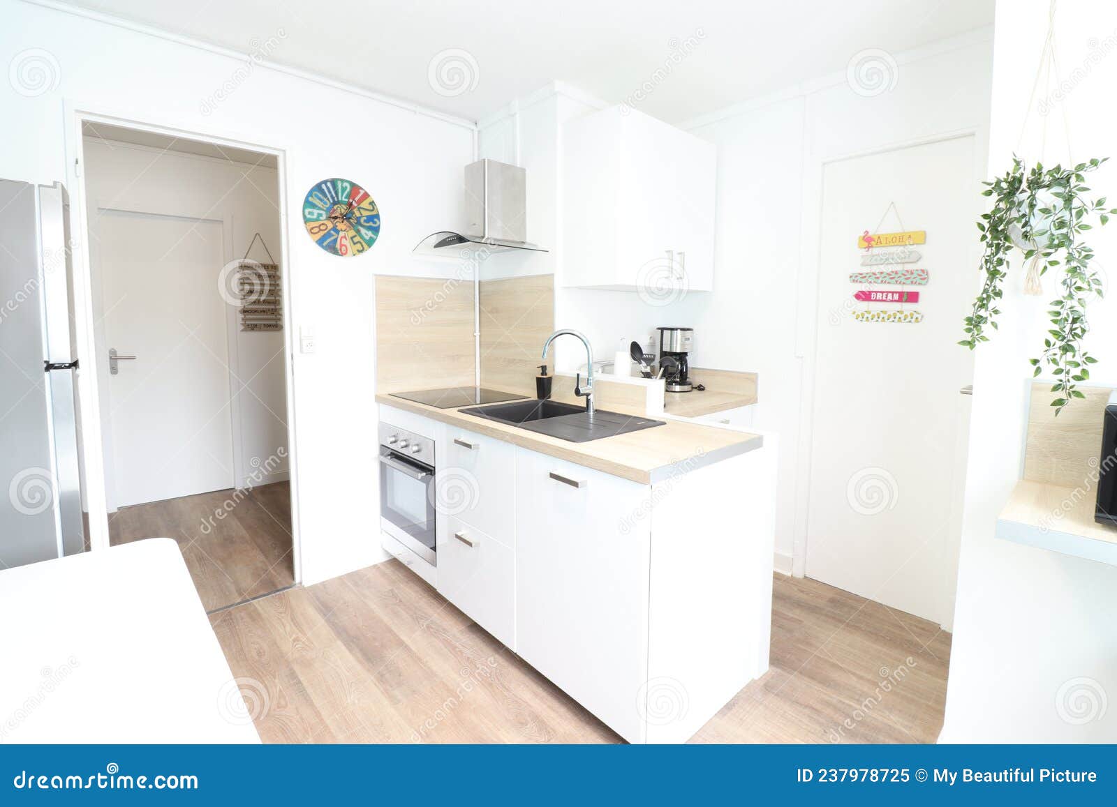Nice Little White Kitchen for Student Editorial Image - Image of nice ...