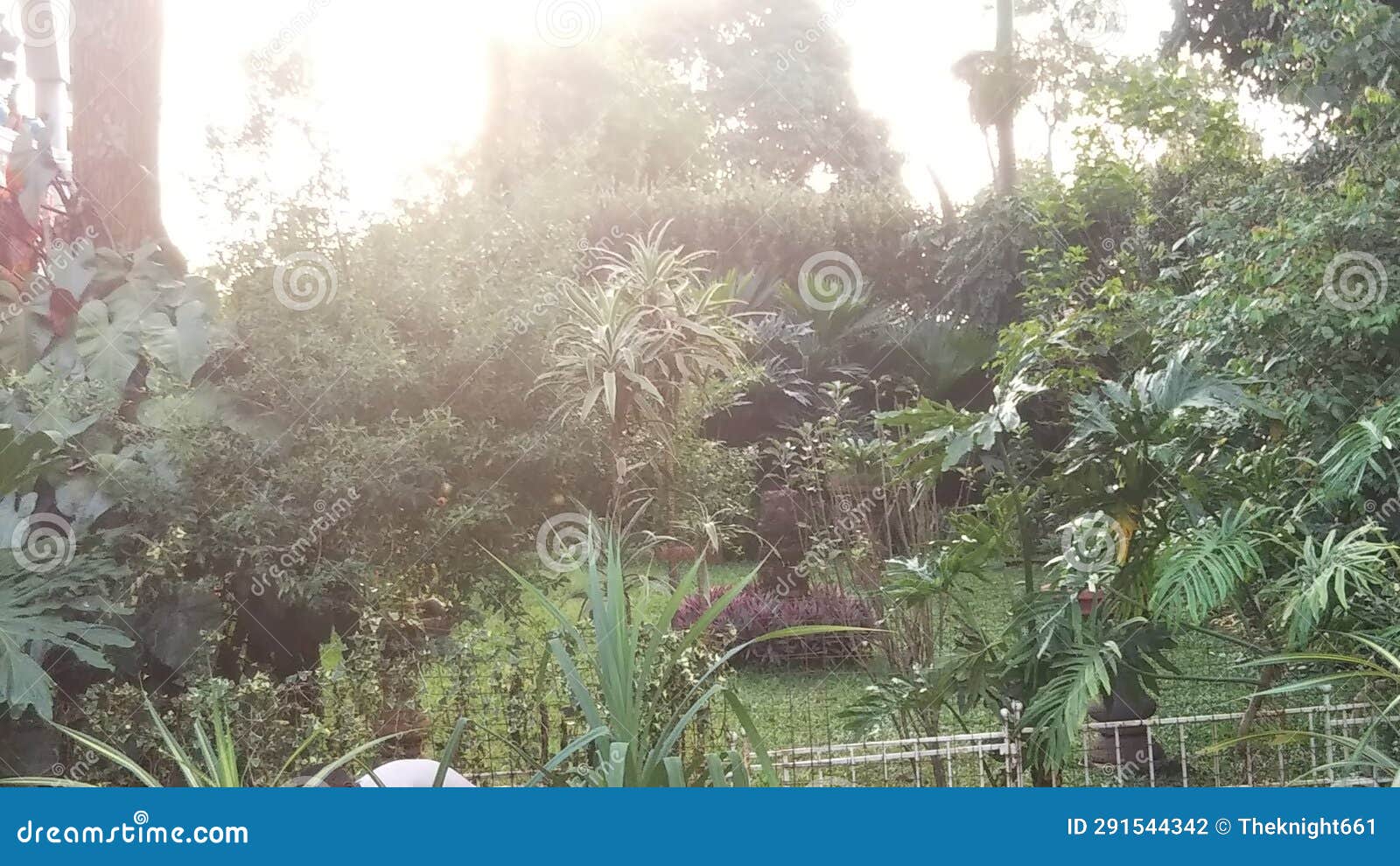 Nice Looking Compound and Beautiful Wow Stock Photo - Image of ...