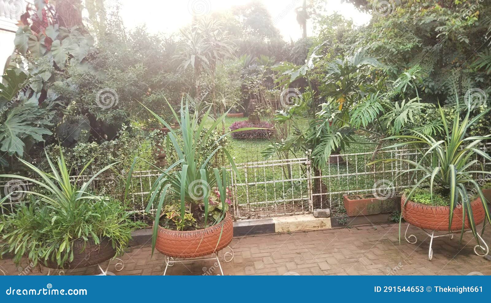 Nice Looking Compound and Beautiful Wow Stock Image - Image of nice ...