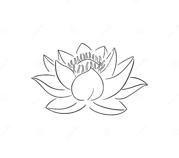 Nice lotus flower stock illustration. Illustration of white - 358594562