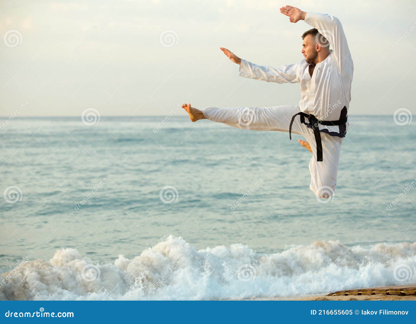 Nice Male Practising Karate Kata Poses Stock Image - Image of human ...