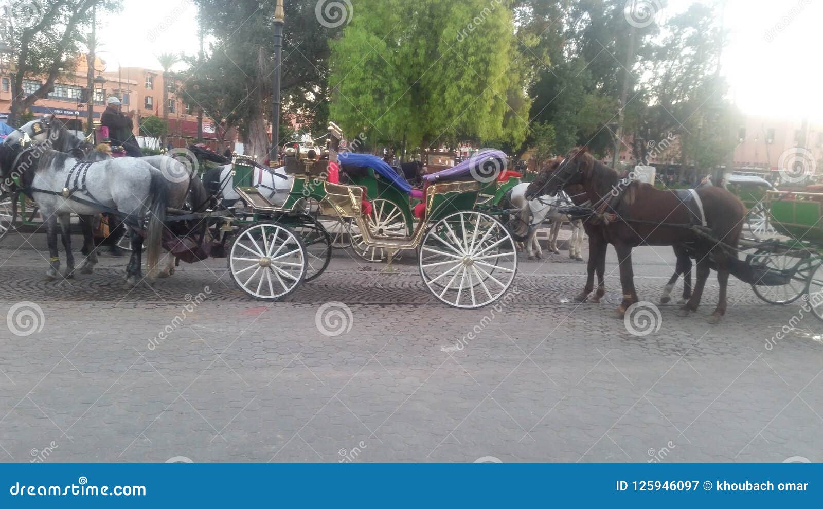 Kotchi editorial photography. Image of marrakesh, horses - 125946097