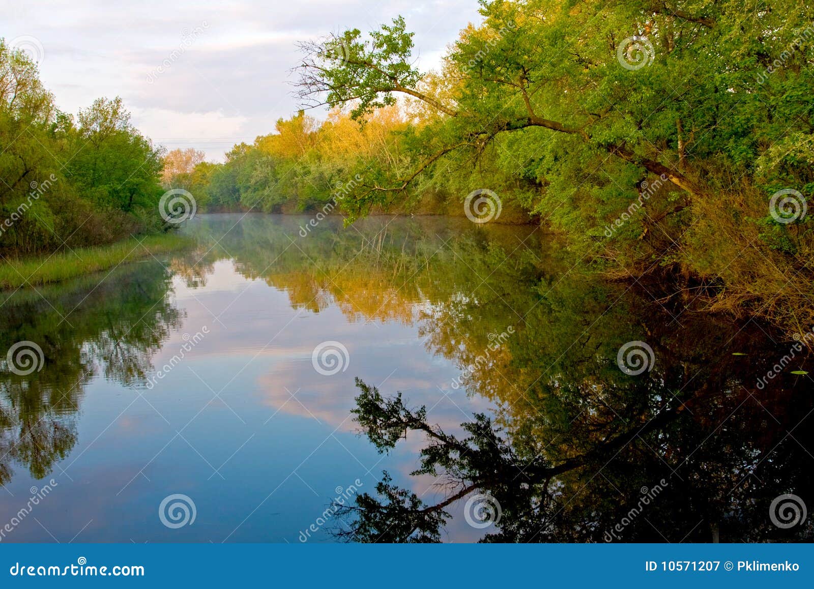 Nice morning on river stock image. Image of tree, reflection - 10571207