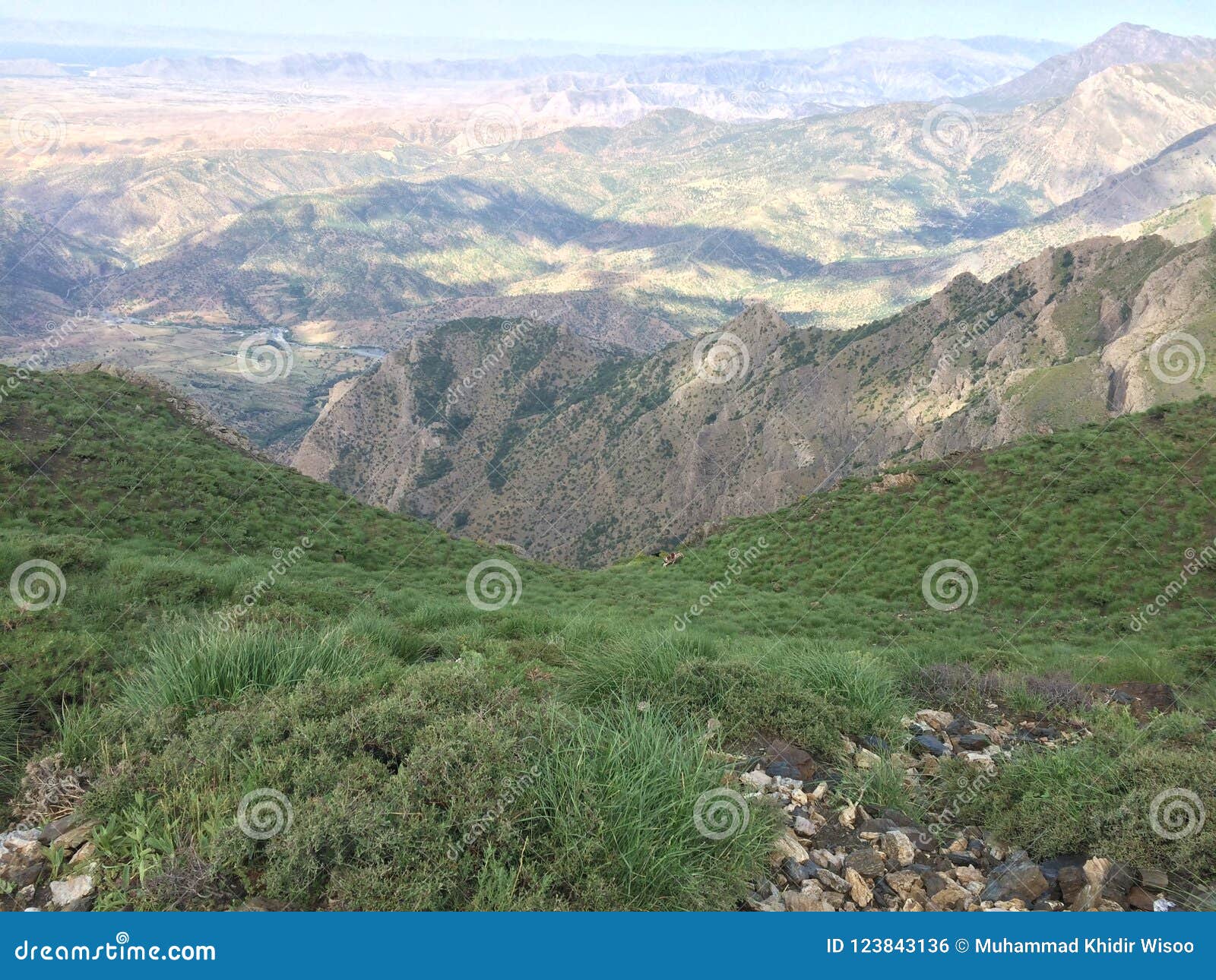 A Nice Mountain in Kurdistan Stock Photo - Image of green, forest ...
