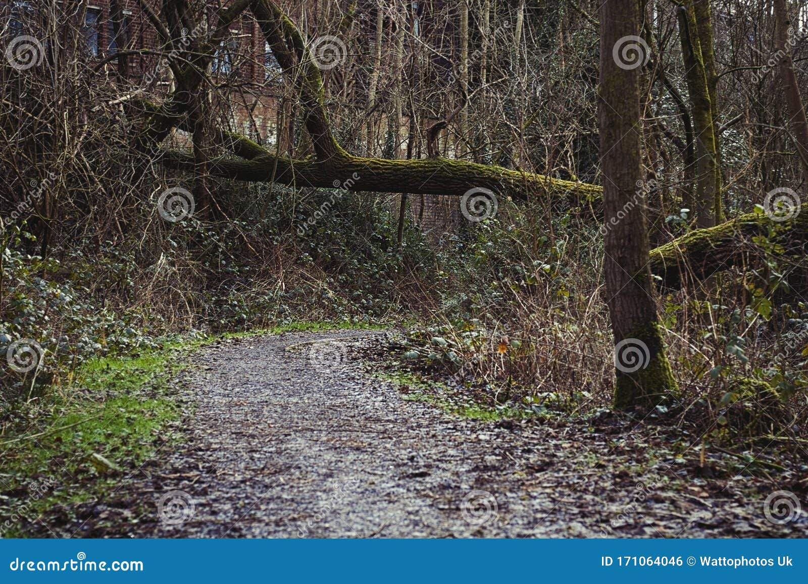 Nature Wallpaper Mud Path Walk Way in a Park Stock Photo - Image of ...