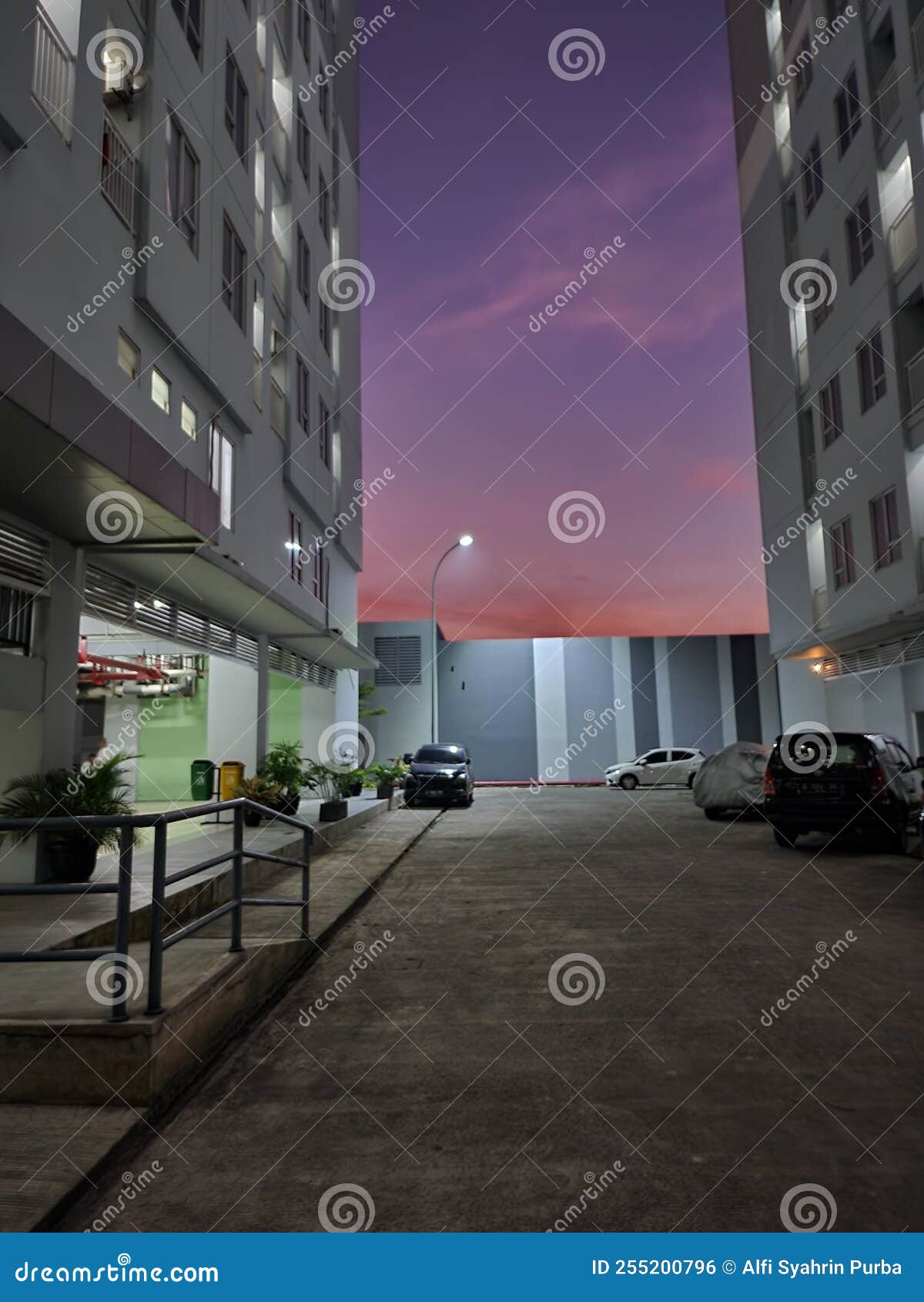 The Multiple Tower stock photo. Image of facade, shoots - 255200796