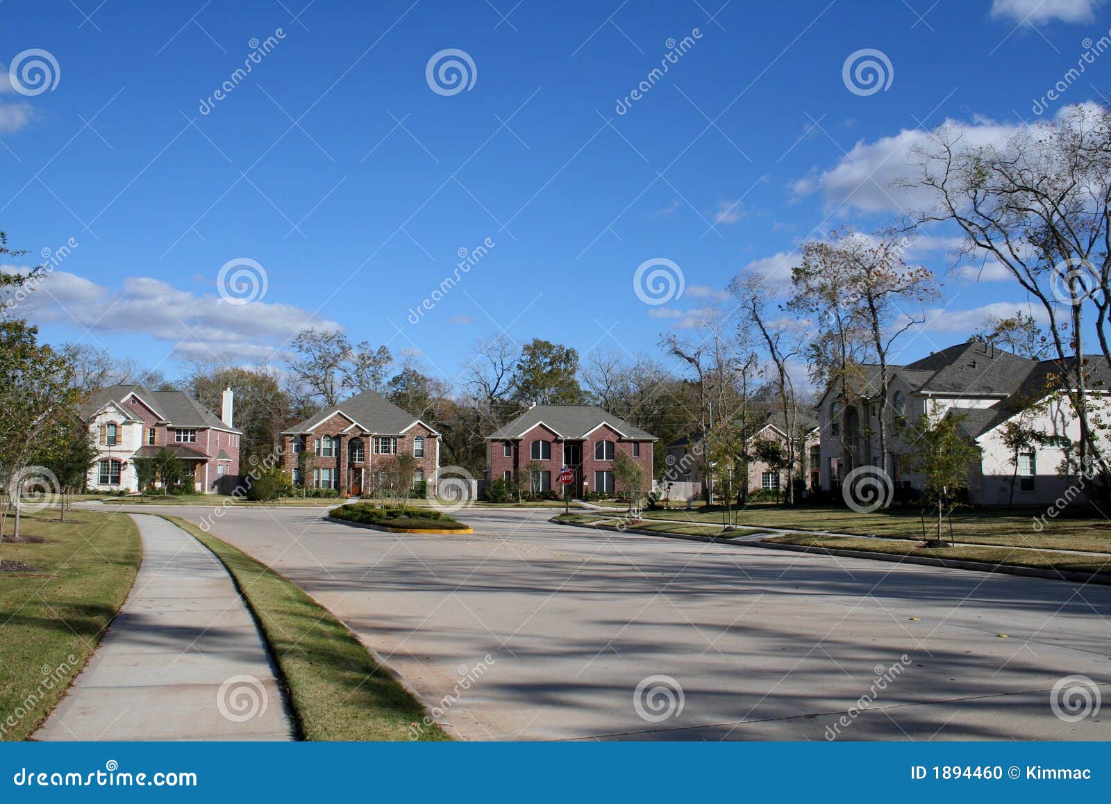 Nice Neighborhood stock photo. Image of structure, wealth - 1894460