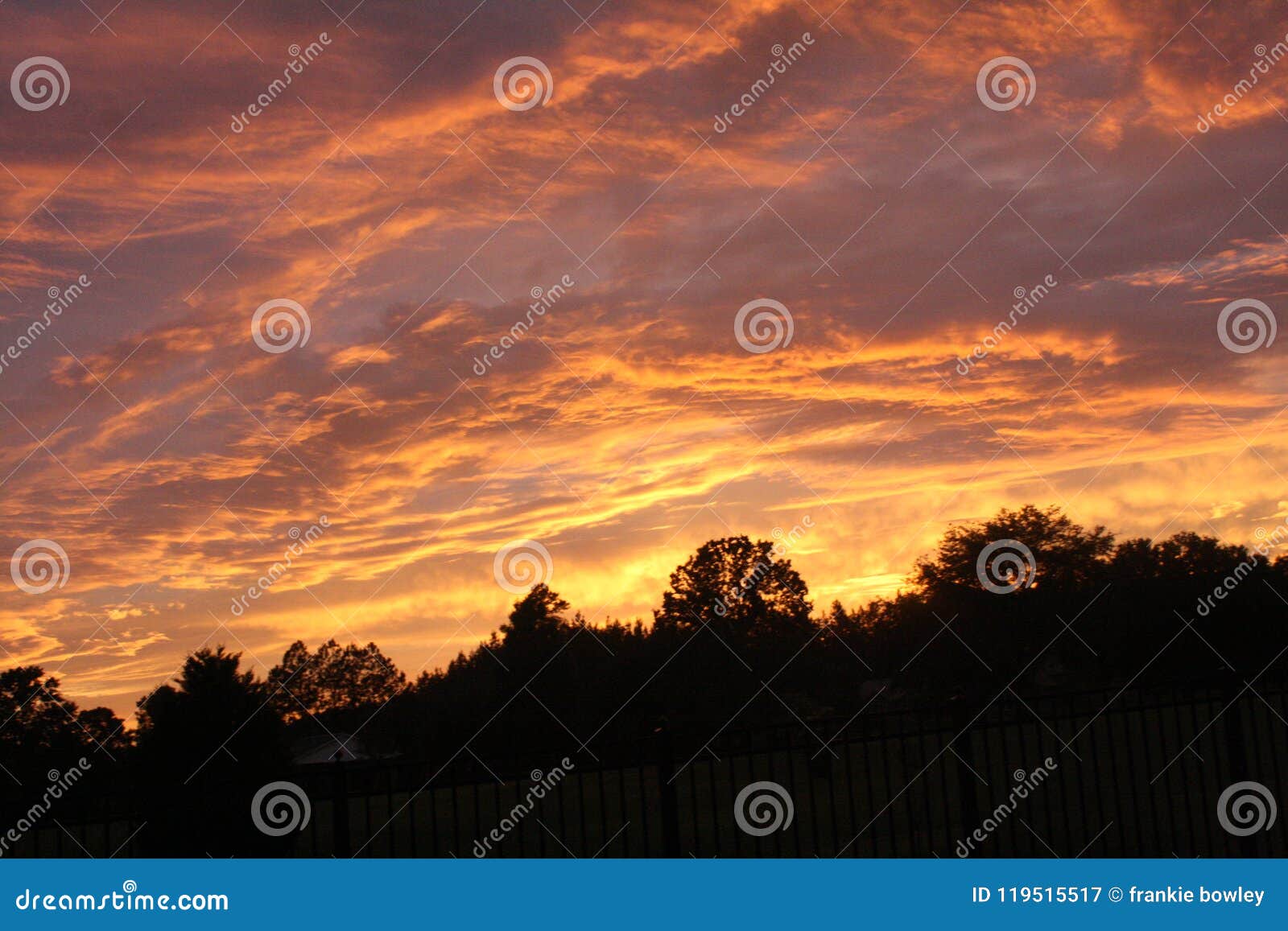 Nice night stock image. Image of last, days, night, nice - 119515517