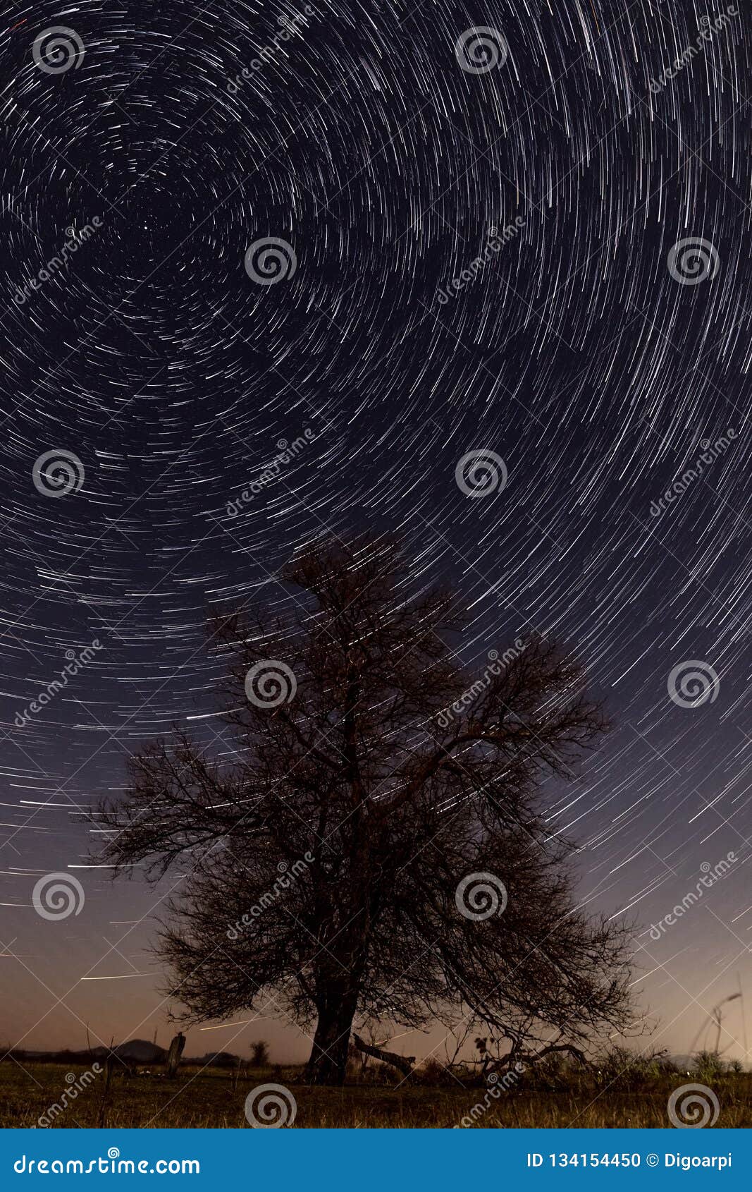 Nice Night Scene with Many Stars and Tree Stock Photo - Image of ...