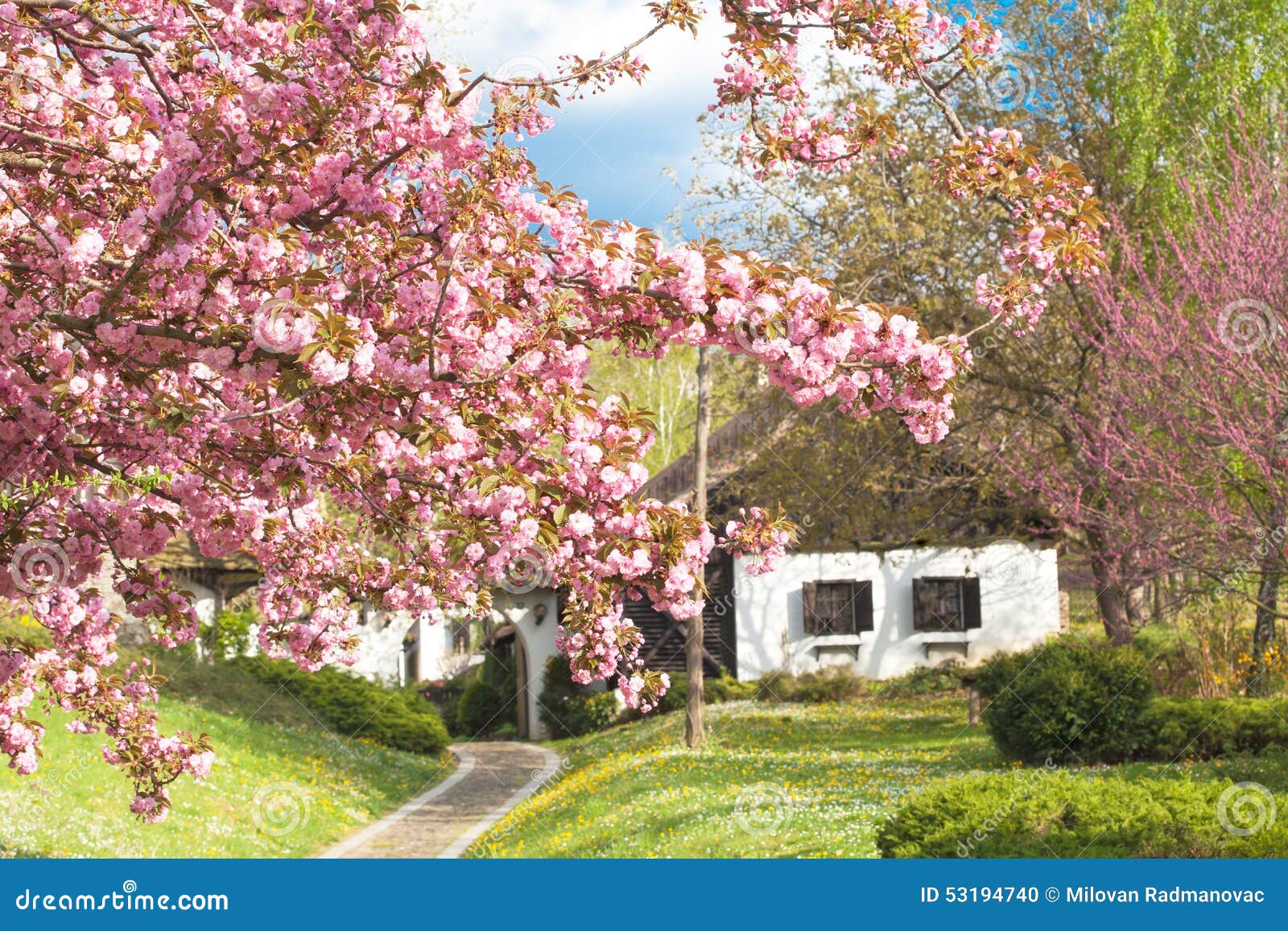 Nice Old House with Flowers Stock Photo - Image of lawn, landscape ...