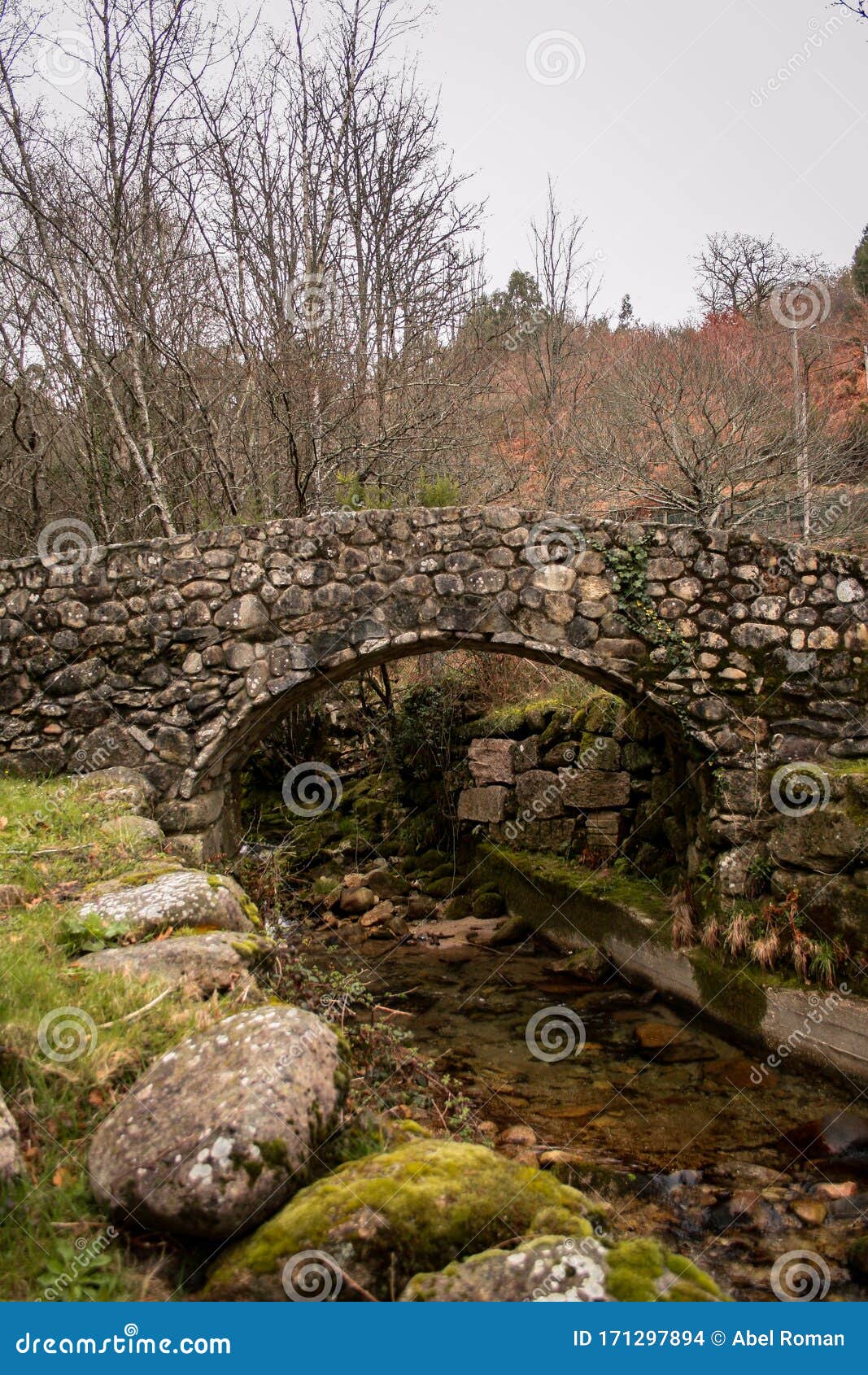 Medieval Stone Bridge Over River and Trees in the Background Stock ...
