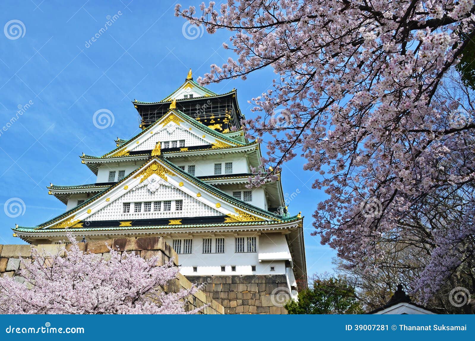 Nice Osaka Castle in Sakura Stock Image - Image of sightseeing, blossom ...