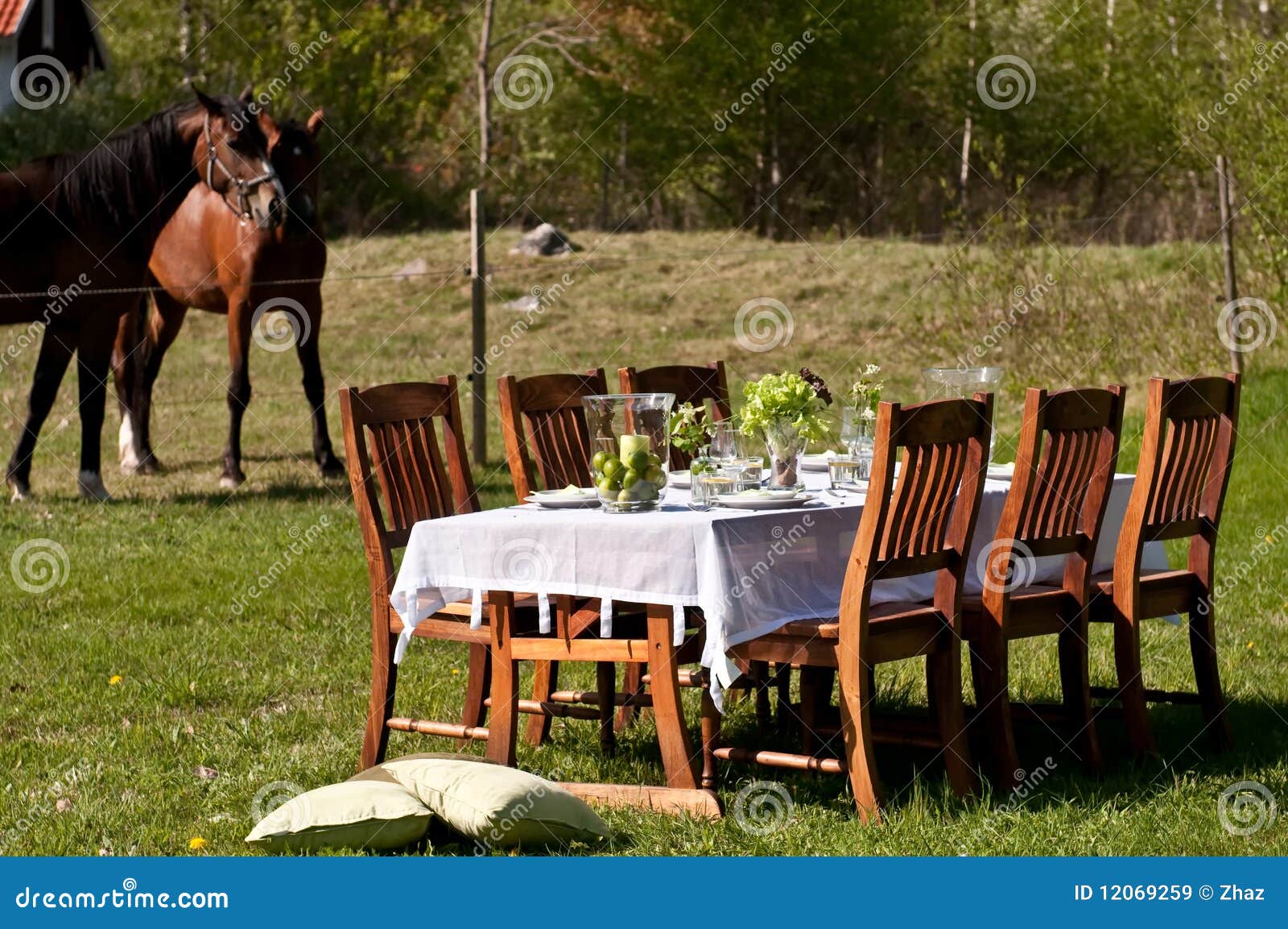 Nice Outdoor setting stock image. Image of party, wood - 12069259