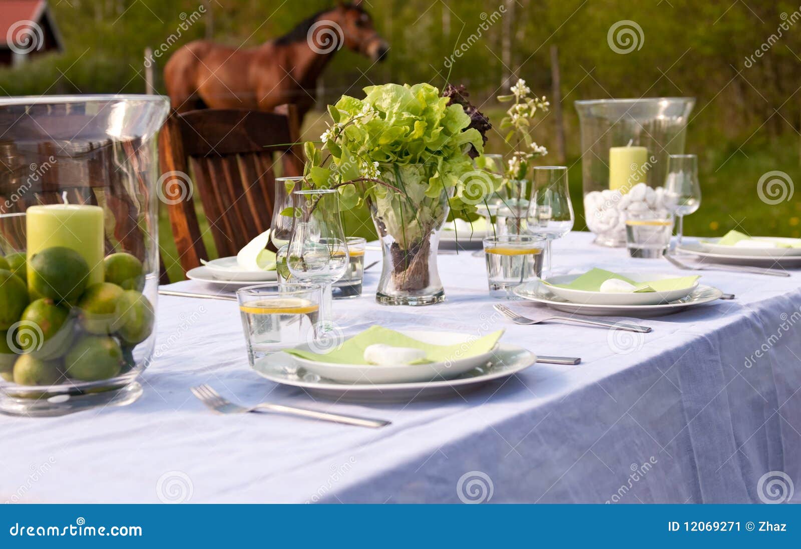 Nice Outdoor setting stock image. Image of garden, back - 12069271