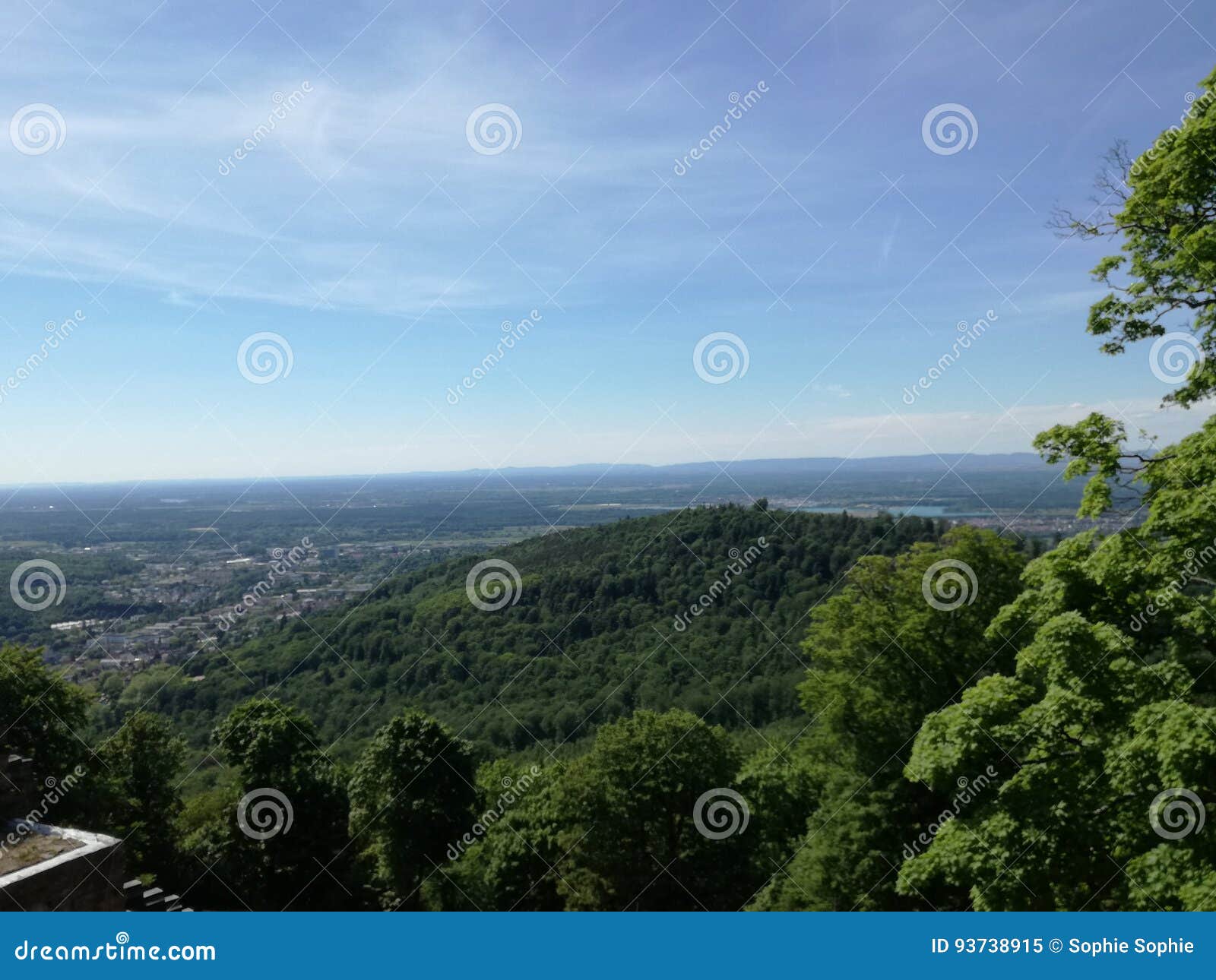 Nice overview stock image. Image of nice, overview, nature - 93738915