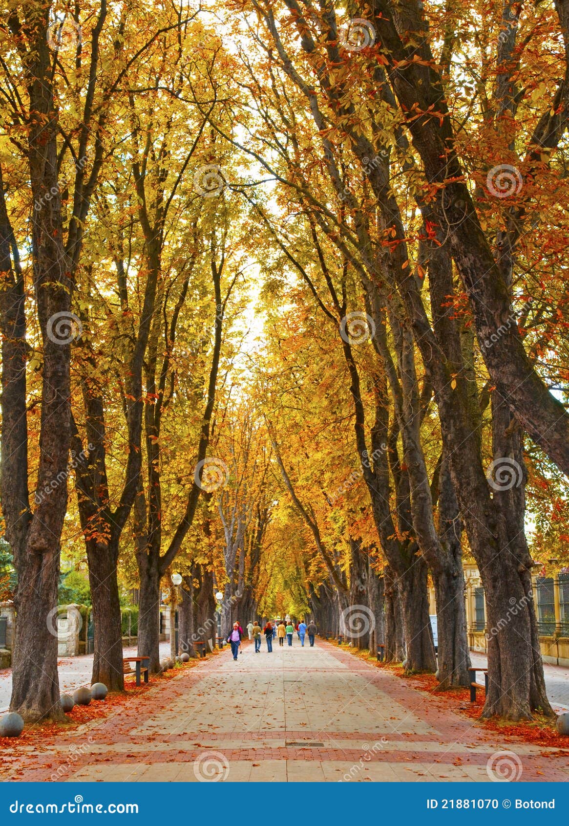 Nice park stock photo. Image of landscape, life, plant - 21881070