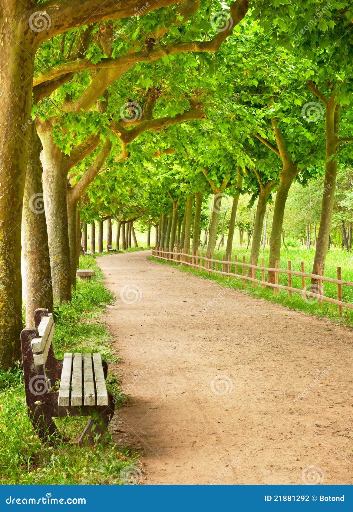 Nice park stock photo. Image of green, garden, floral - 21881292