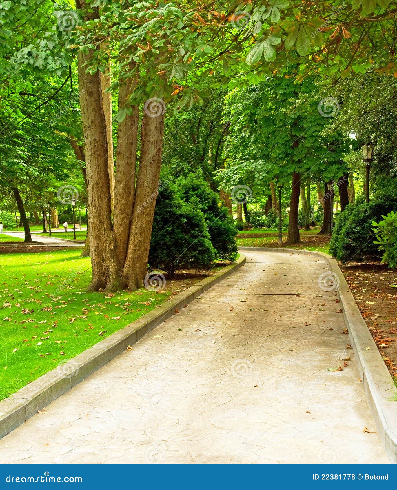 Nice park stock photo. Image of path, season, sunlight - 22381778
