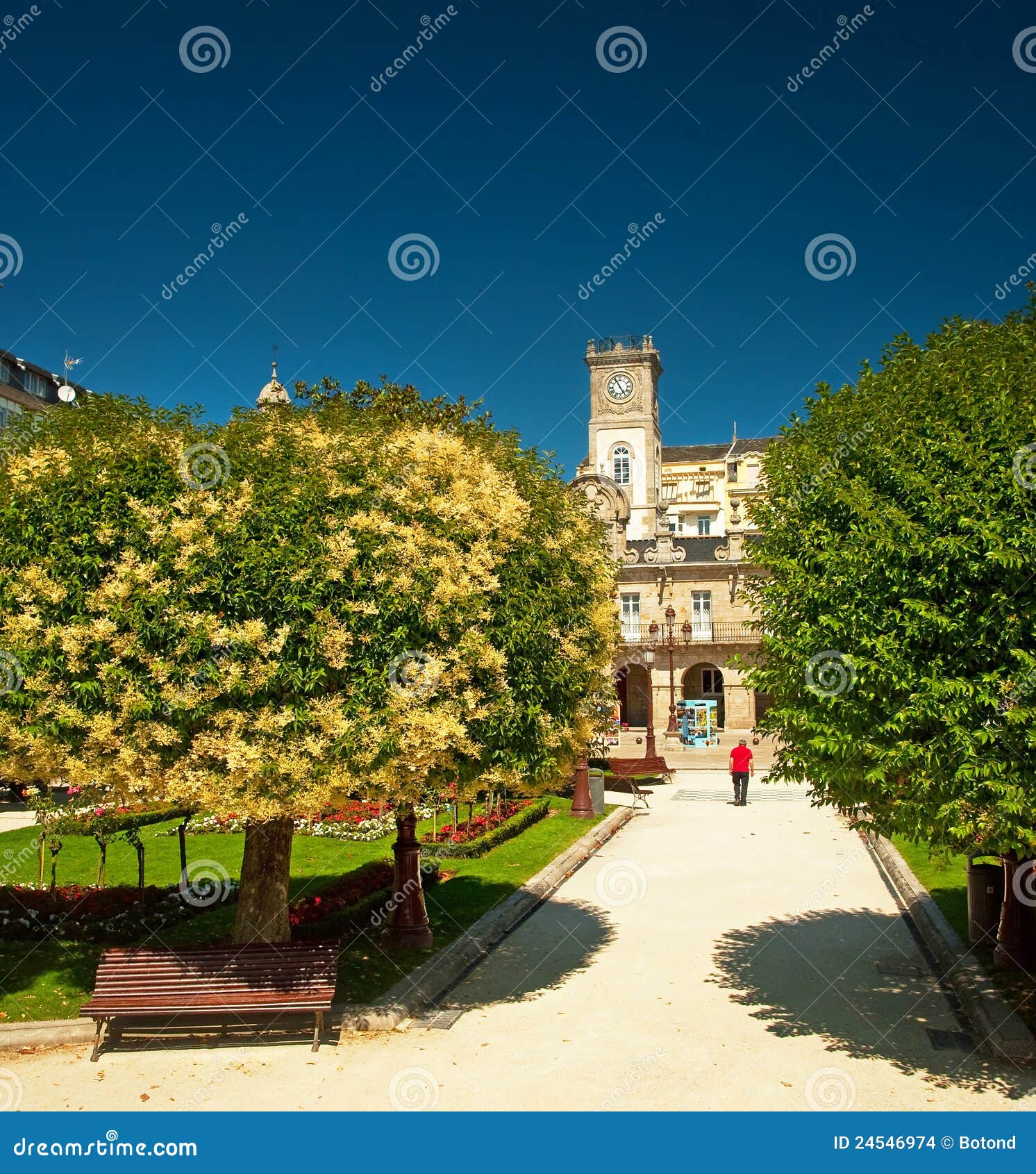 Nice park stock photo. Image of galicia, color, flower - 24546974