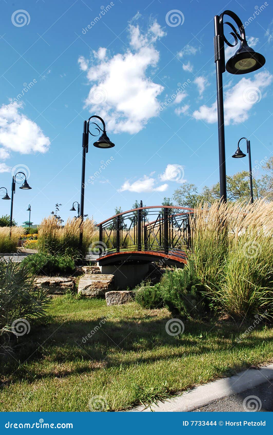 Nice park in the city. stock photo. Image of outdoors - 7733444