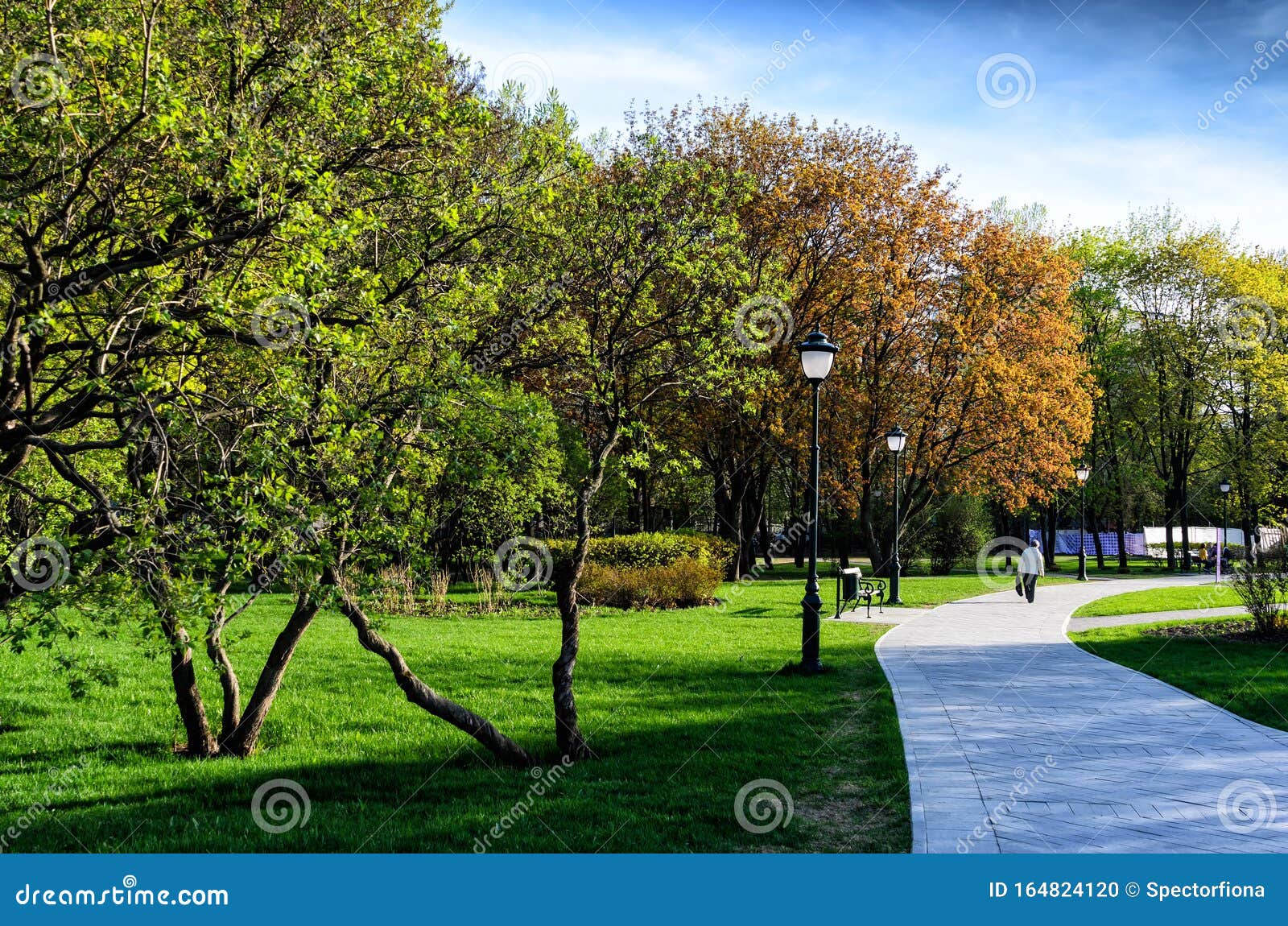 Nice Park in the City with Trees and Small Road Stock Photo - Image of ...