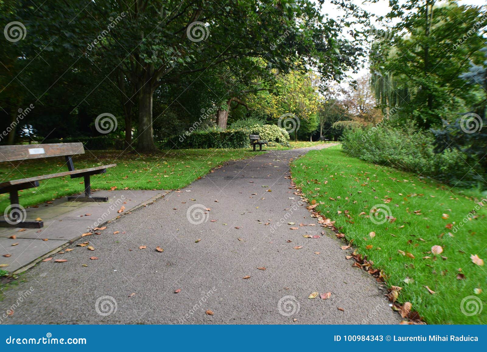 Nice Park View stock image. Image of terrace, providence - 100984343