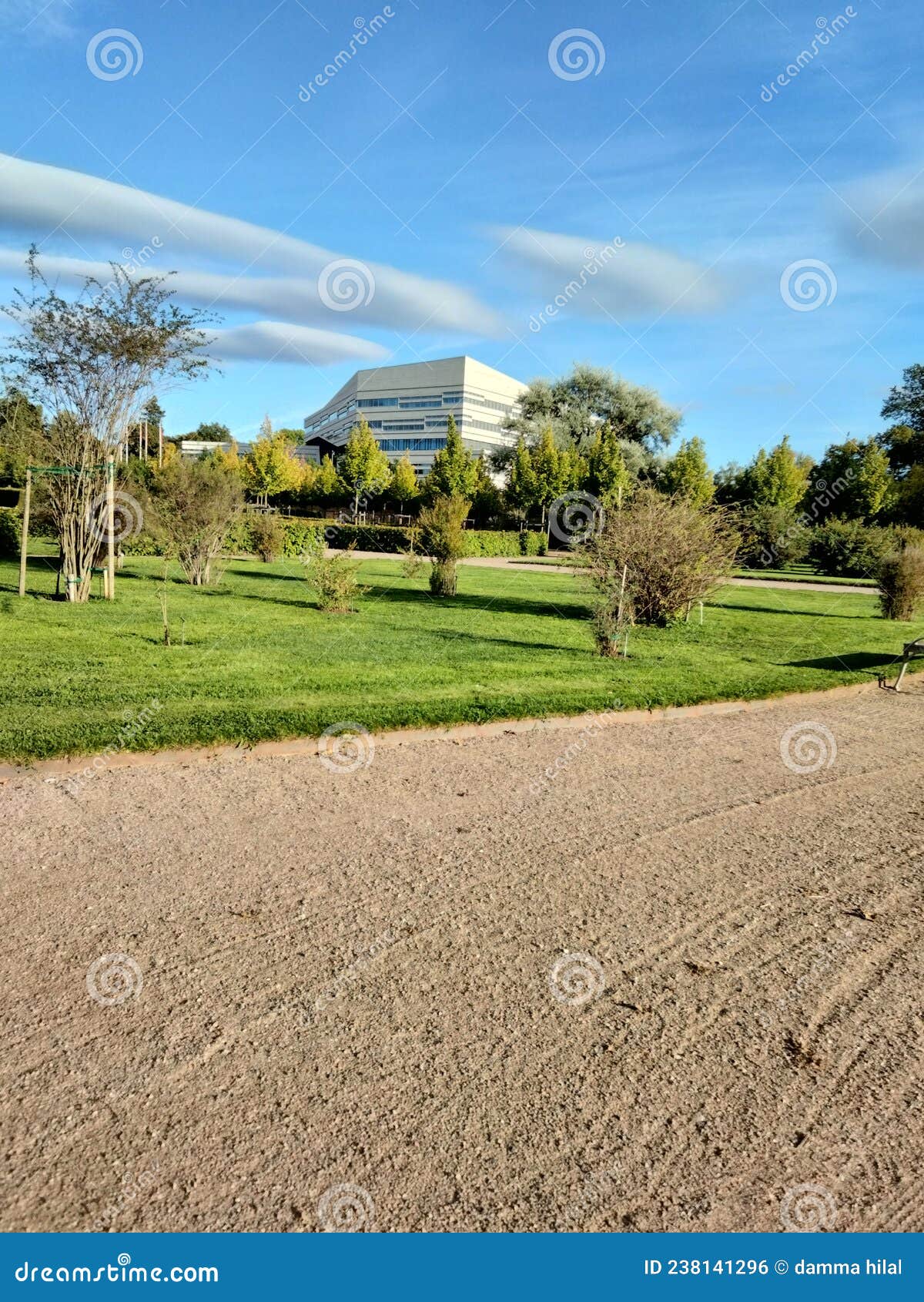 Nice park green nature stock photo. Image of green, tree - 238141296