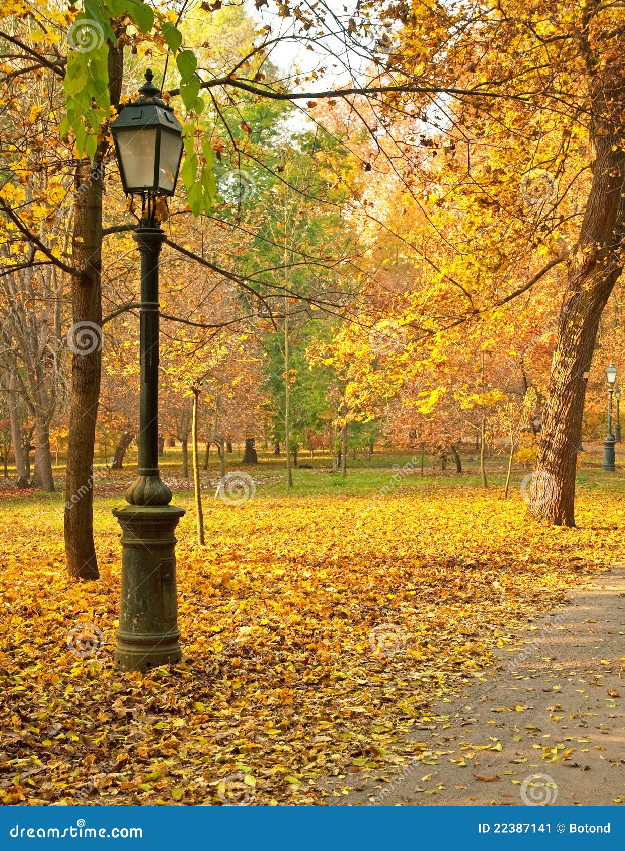 Nice pathway stock image. Image of nature, beauty, autumn - 22387141