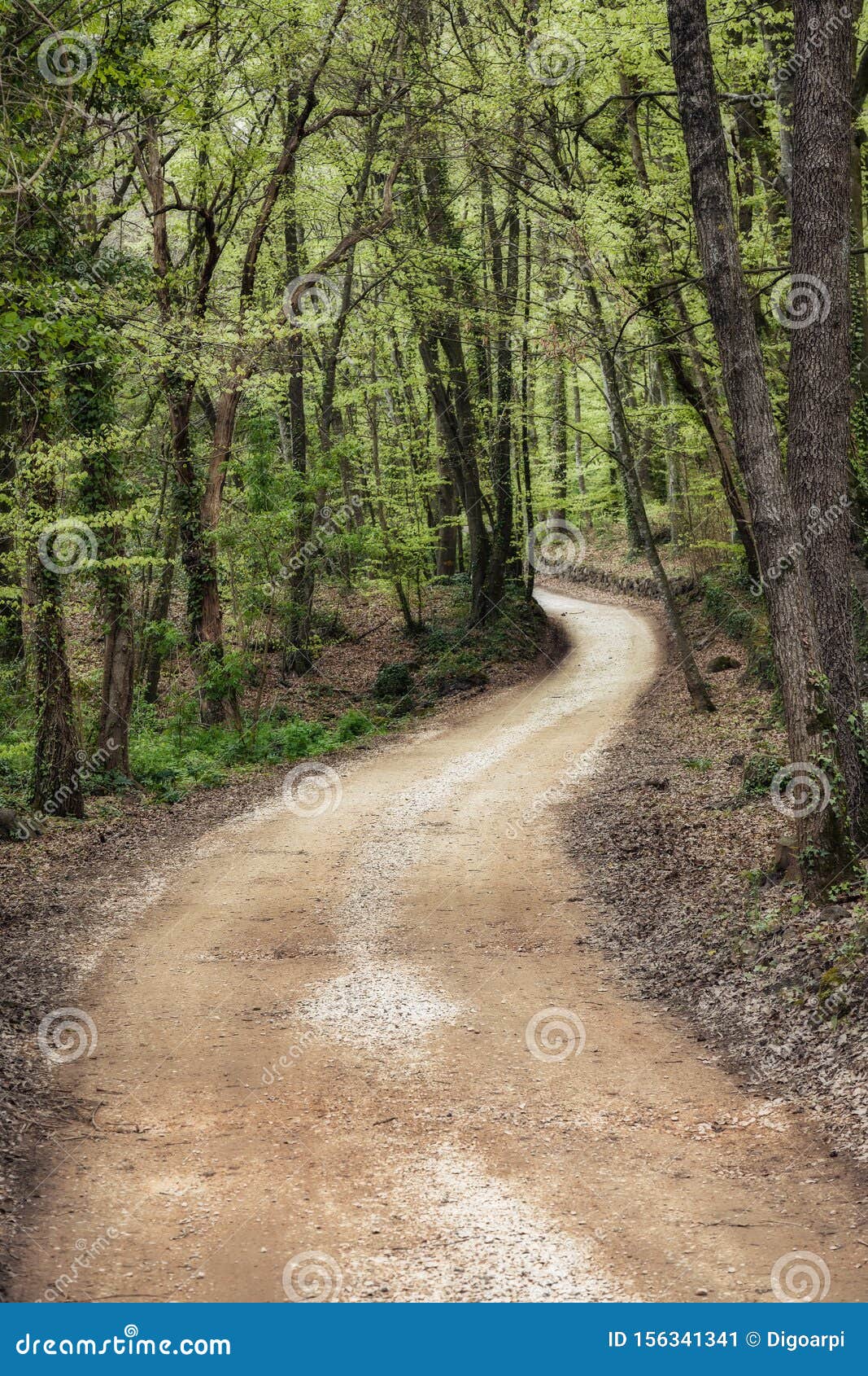 Nice Pathway Royalty-Free Stock Photo | CartoonDealer.com #7732101