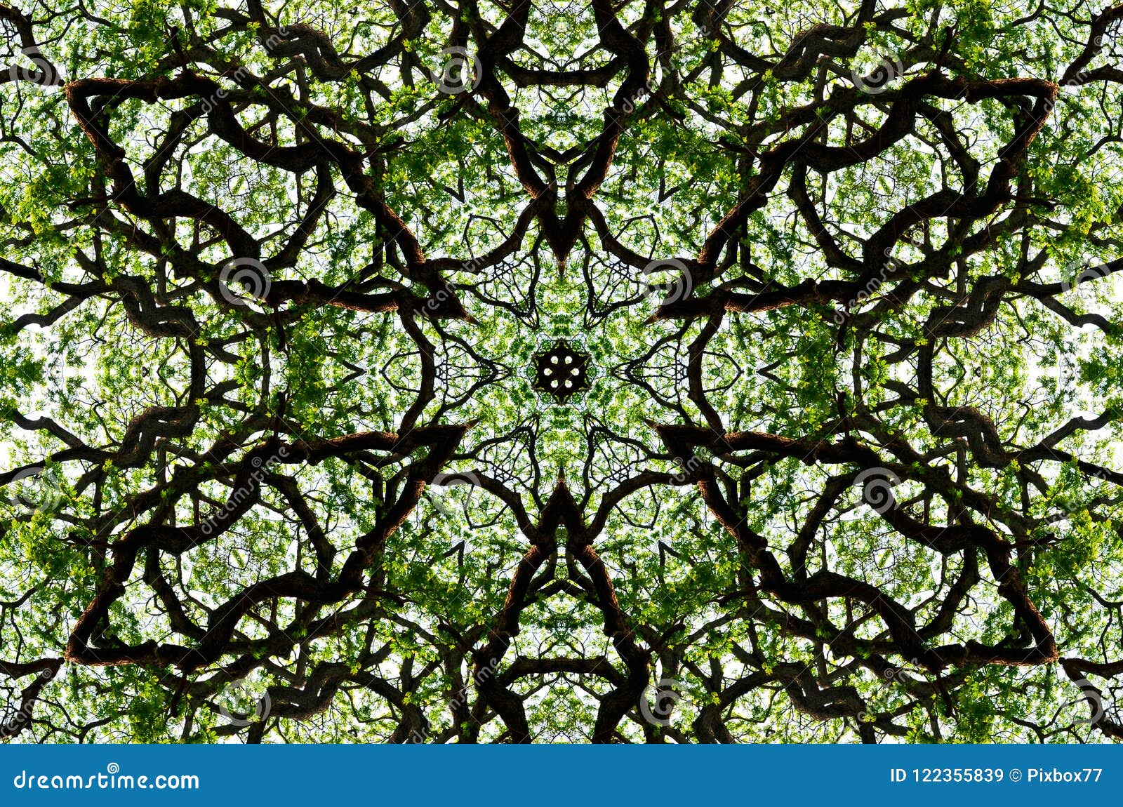 Nice Pattern Graphic Background of Leaf and Tree Canopy Stock ...