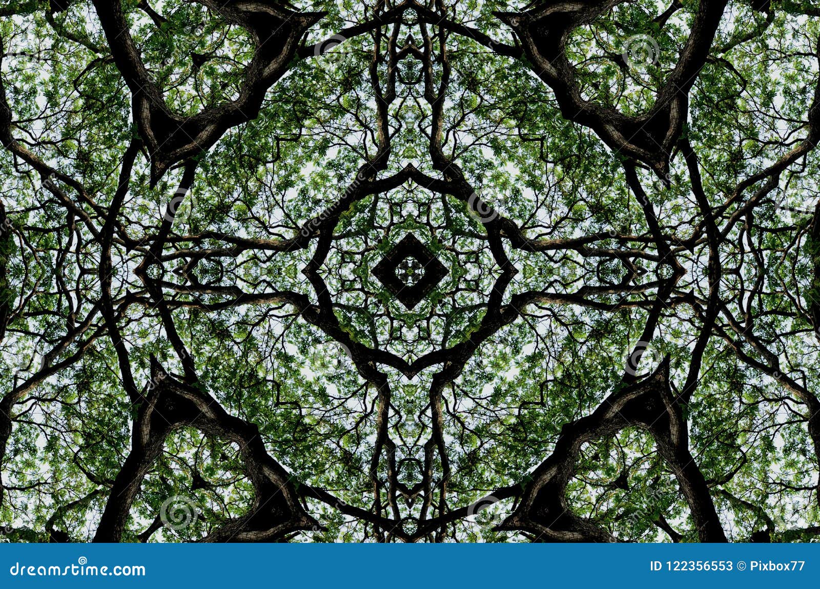 Nice Pattern Graphic Background of Green Leaf and Tree Stock ...