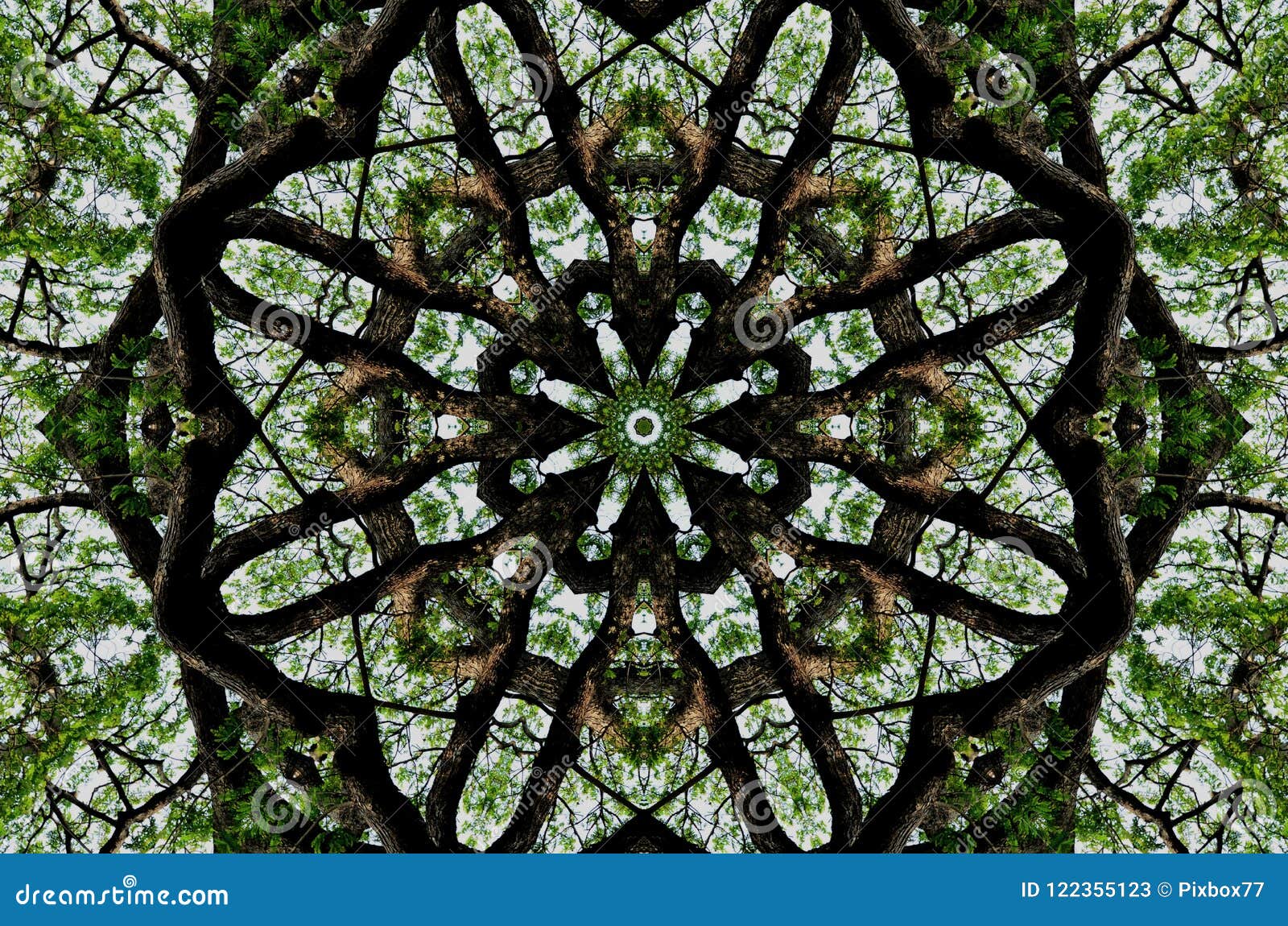 Nice Pattern Graphic Background of Leaf and Tree Canopy Stock ...