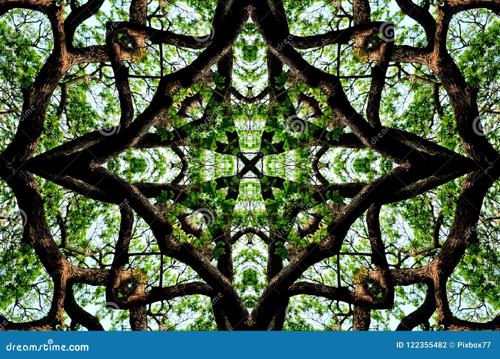 Tree With Canopy And Roots Coffee Bean Vector Logo For Branding A ...