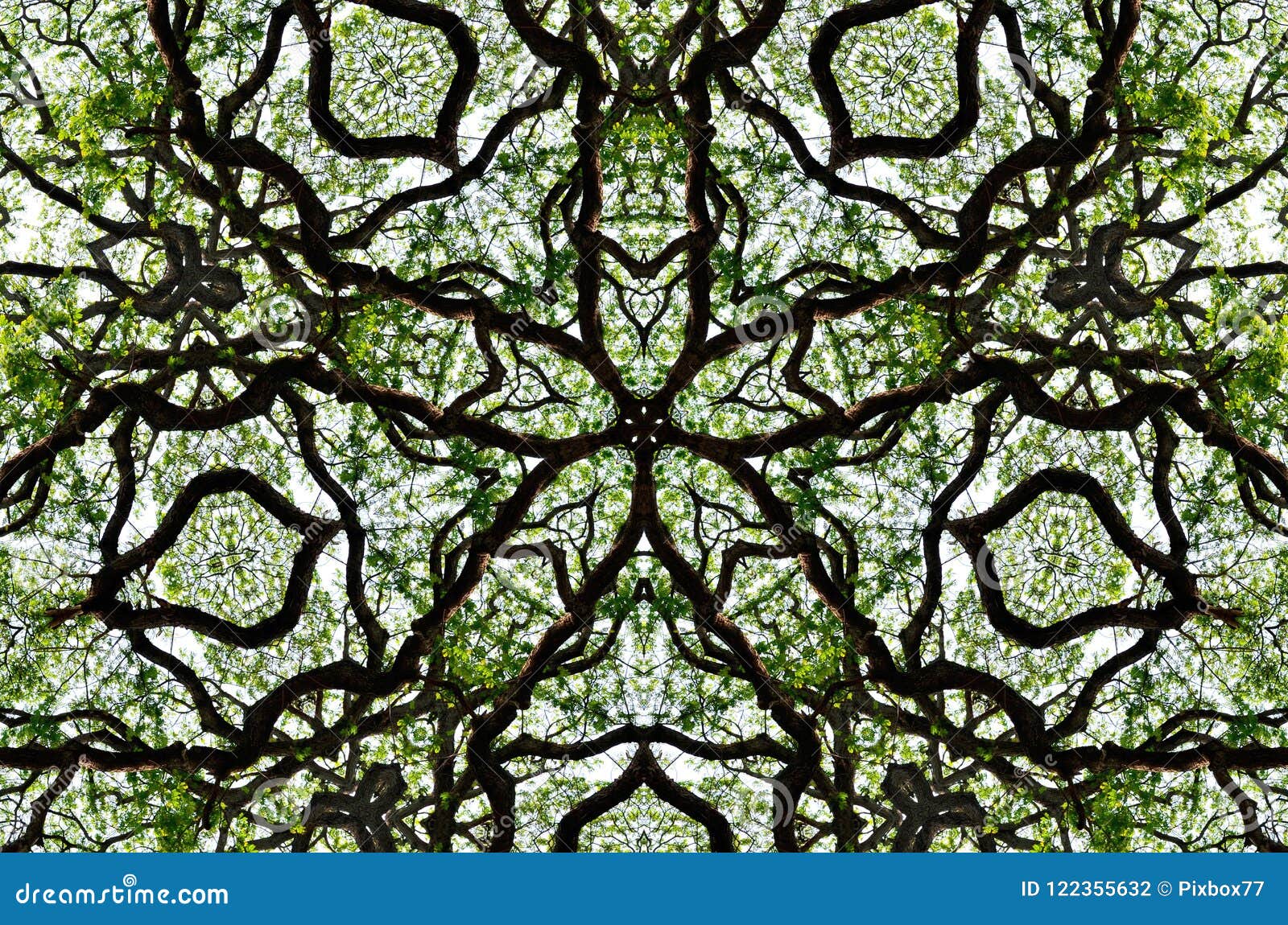 Tree With Canopy And Roots Coffee Bean Vector Logo For Branding A ...