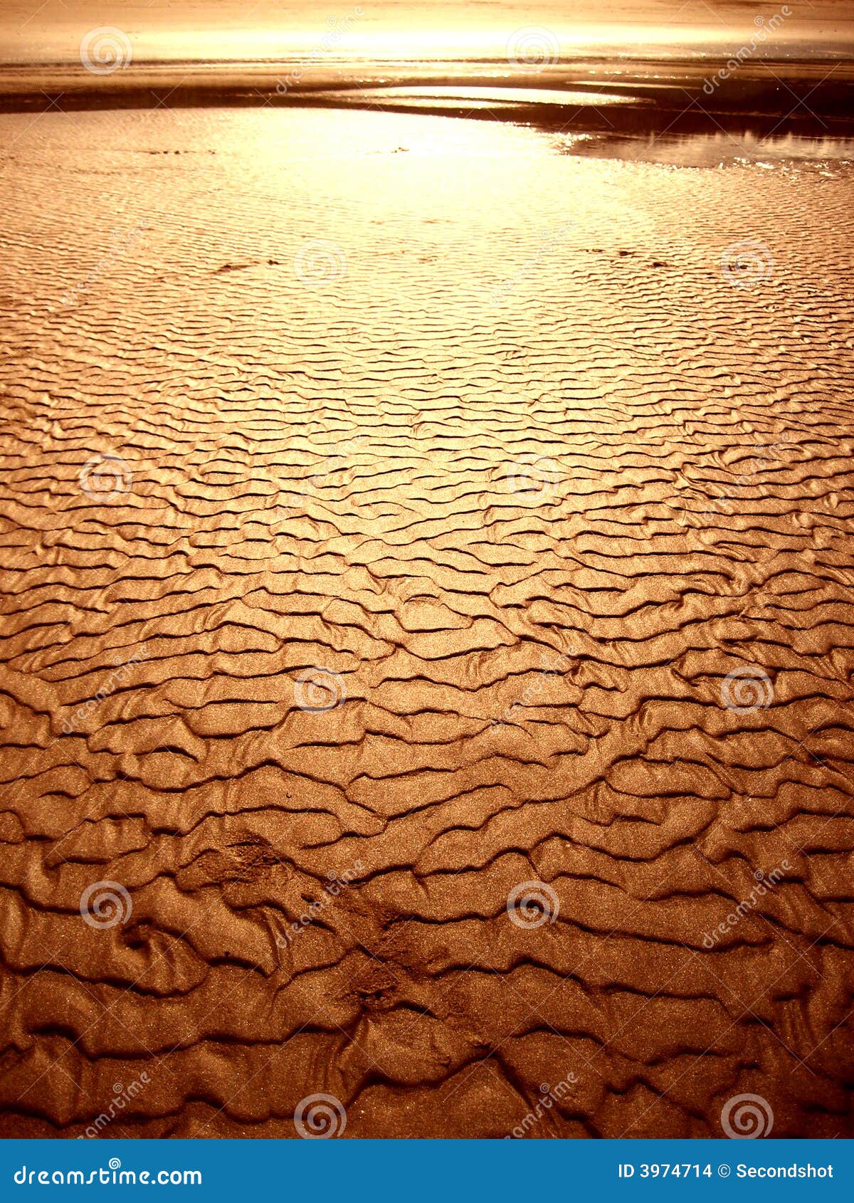 Nice pattern in sand stock photo. Image of landscape, flecks - 3974714