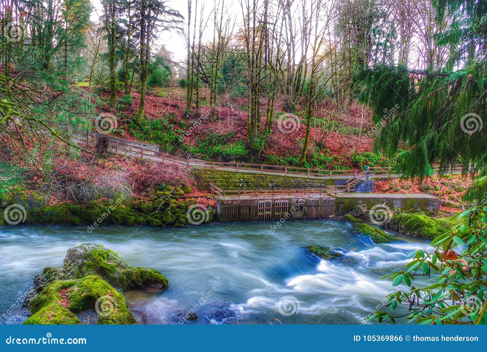 Nice Place for a Walk on a Nice Day. Stock Photo - Image of life, hike ...