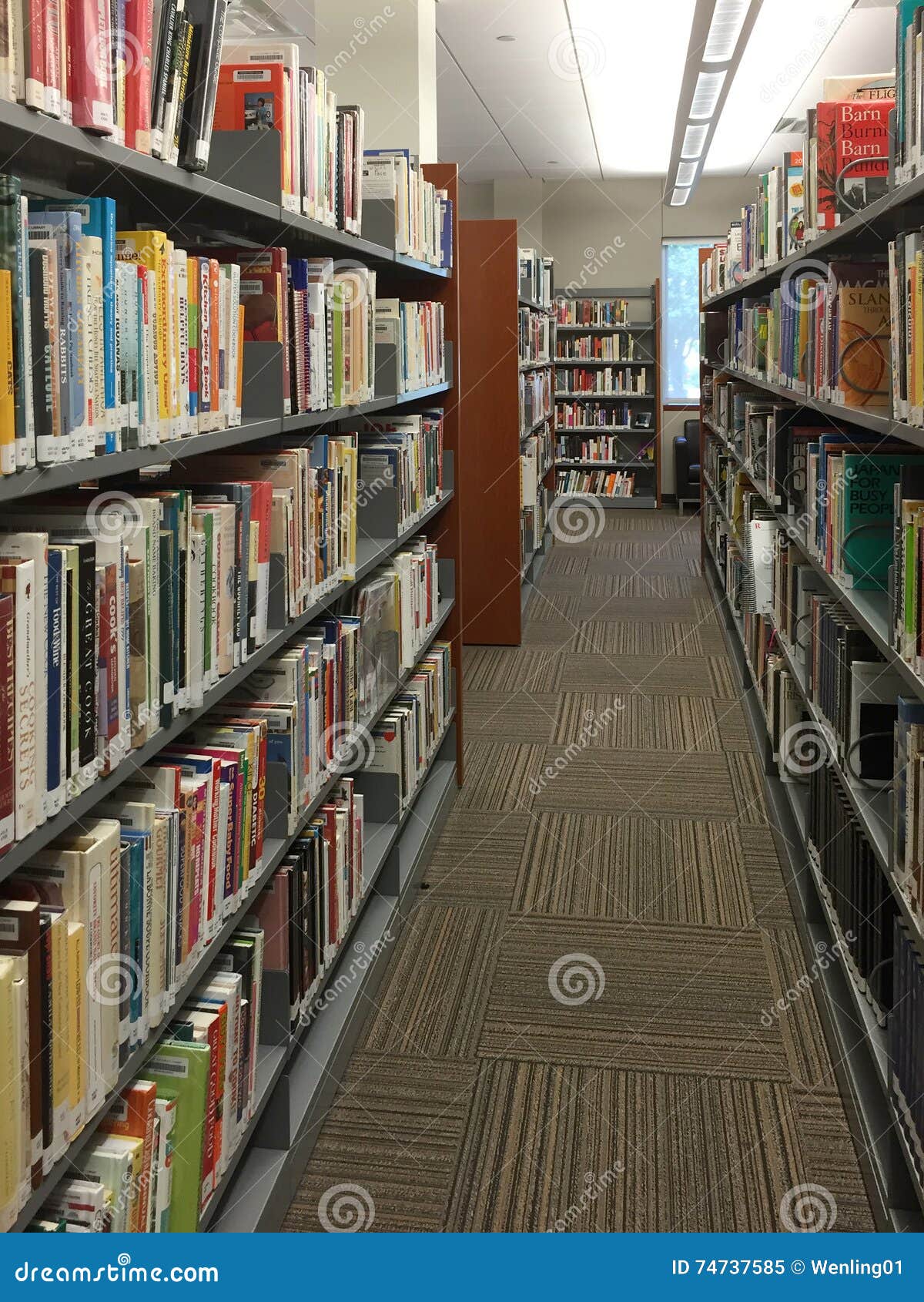 Nice Public Library in Community Editorial Image - Image of reading ...