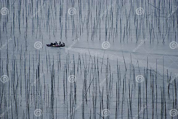 NICE QUIET LINE stock photo. Image of outdoor, line, asaka - 16922958