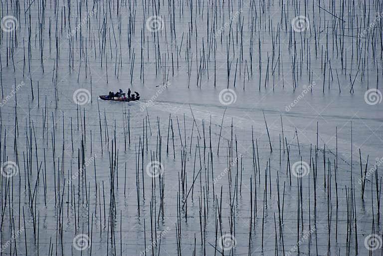 NICE QUIET LINE stock photo. Image of outdoor, line, asaka - 16922958