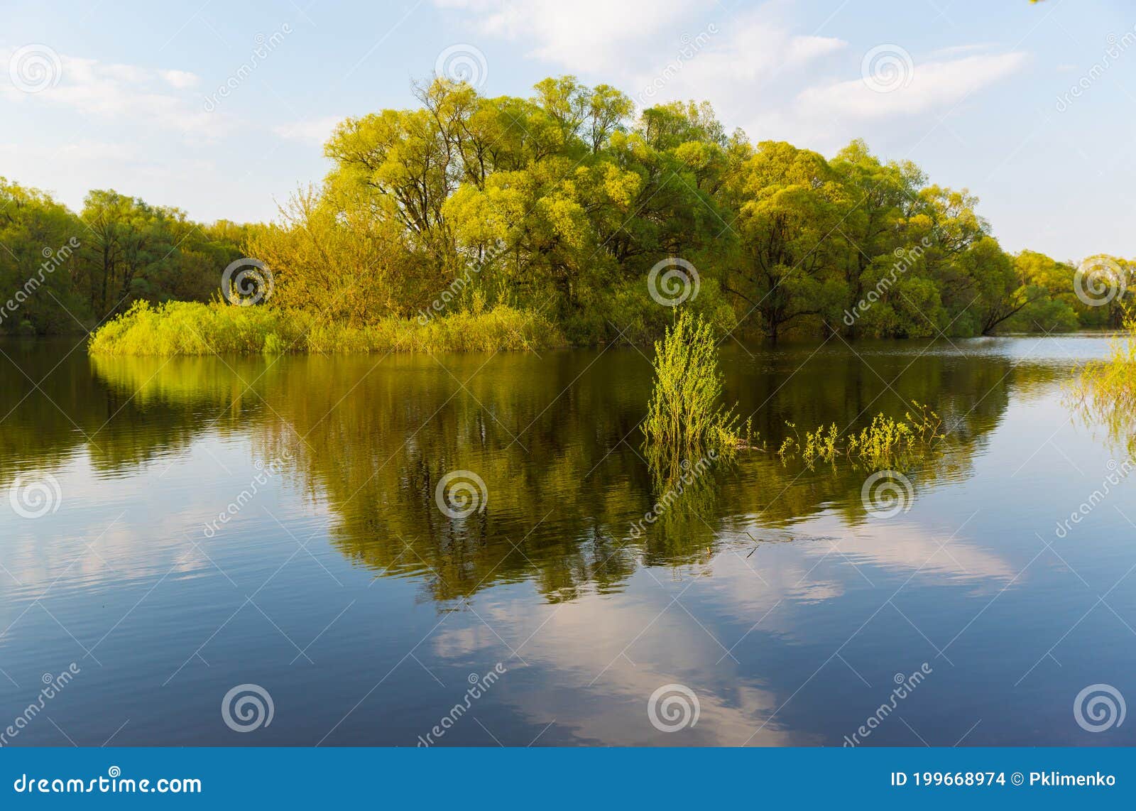 Spring landscape on lake stock photo. Image of scenic - 199668974