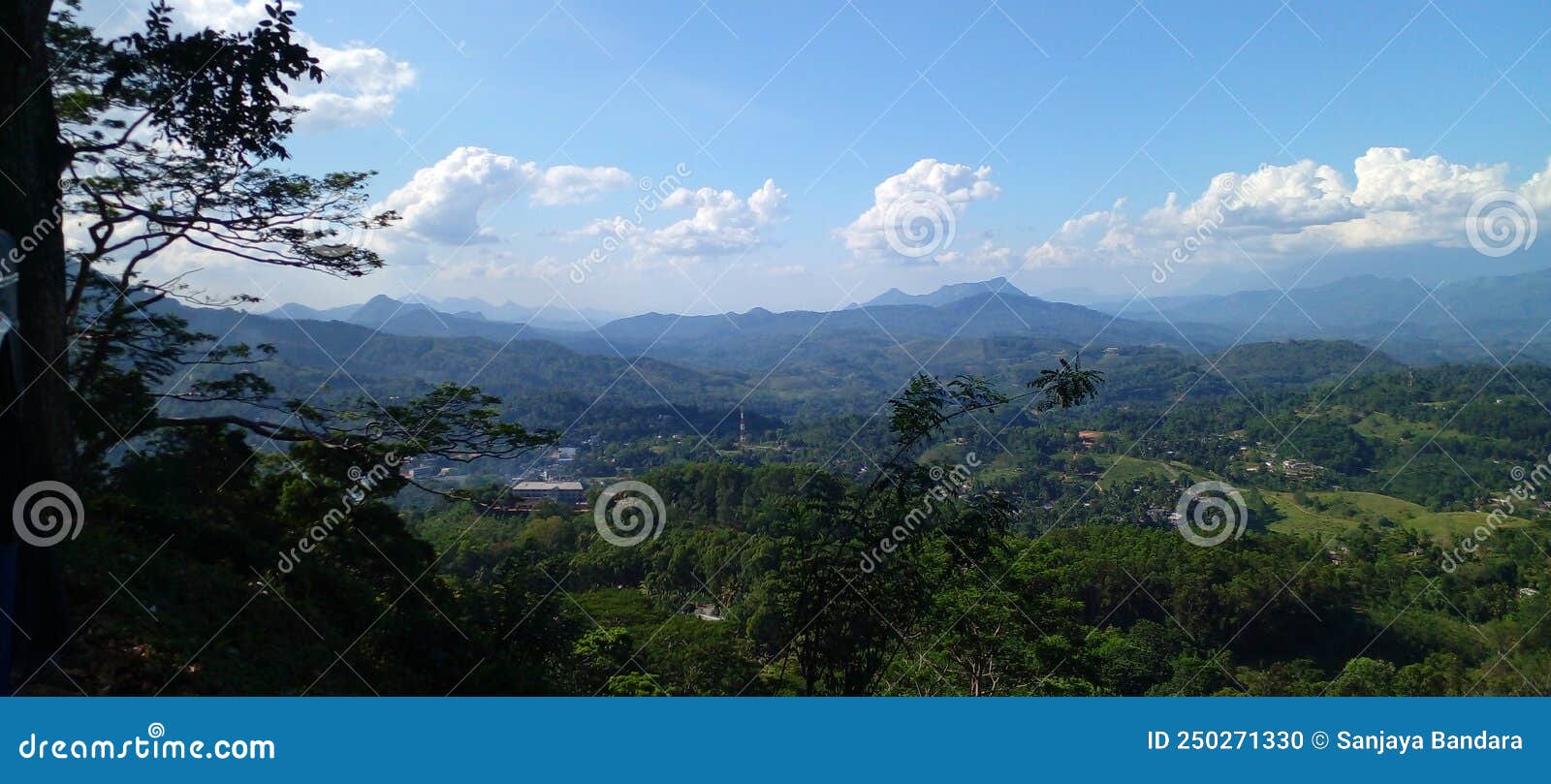 Nice Rakwana , Sri Lanka stock photo. Image of meadow - 250271330