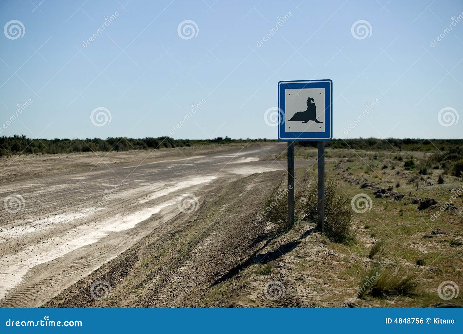 Nice rare road sign stock photo. Image of white, precaution - 4848756