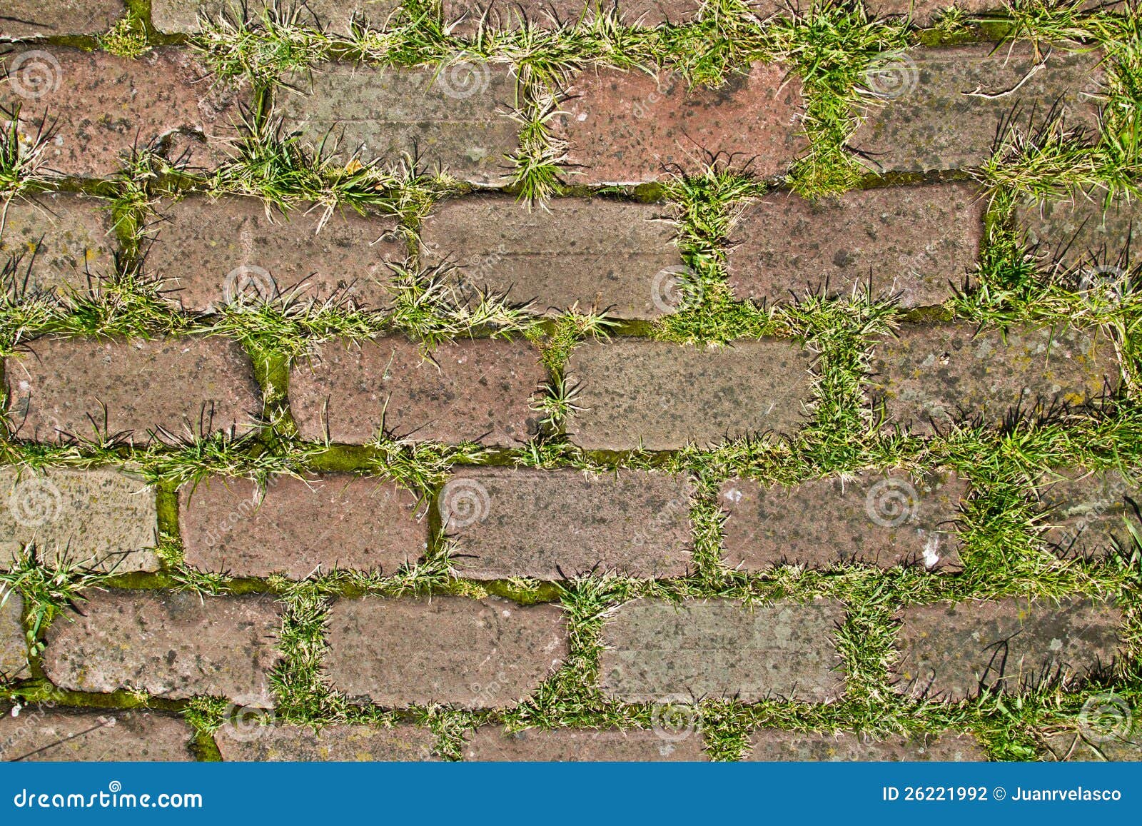 Nice Red Bricks with Grass Background Stock Photo - Image of background ...